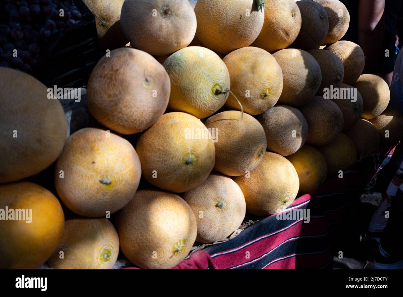 Cantaloupe melon, muskmelon, fruit piled up in a city market in Egypt ...