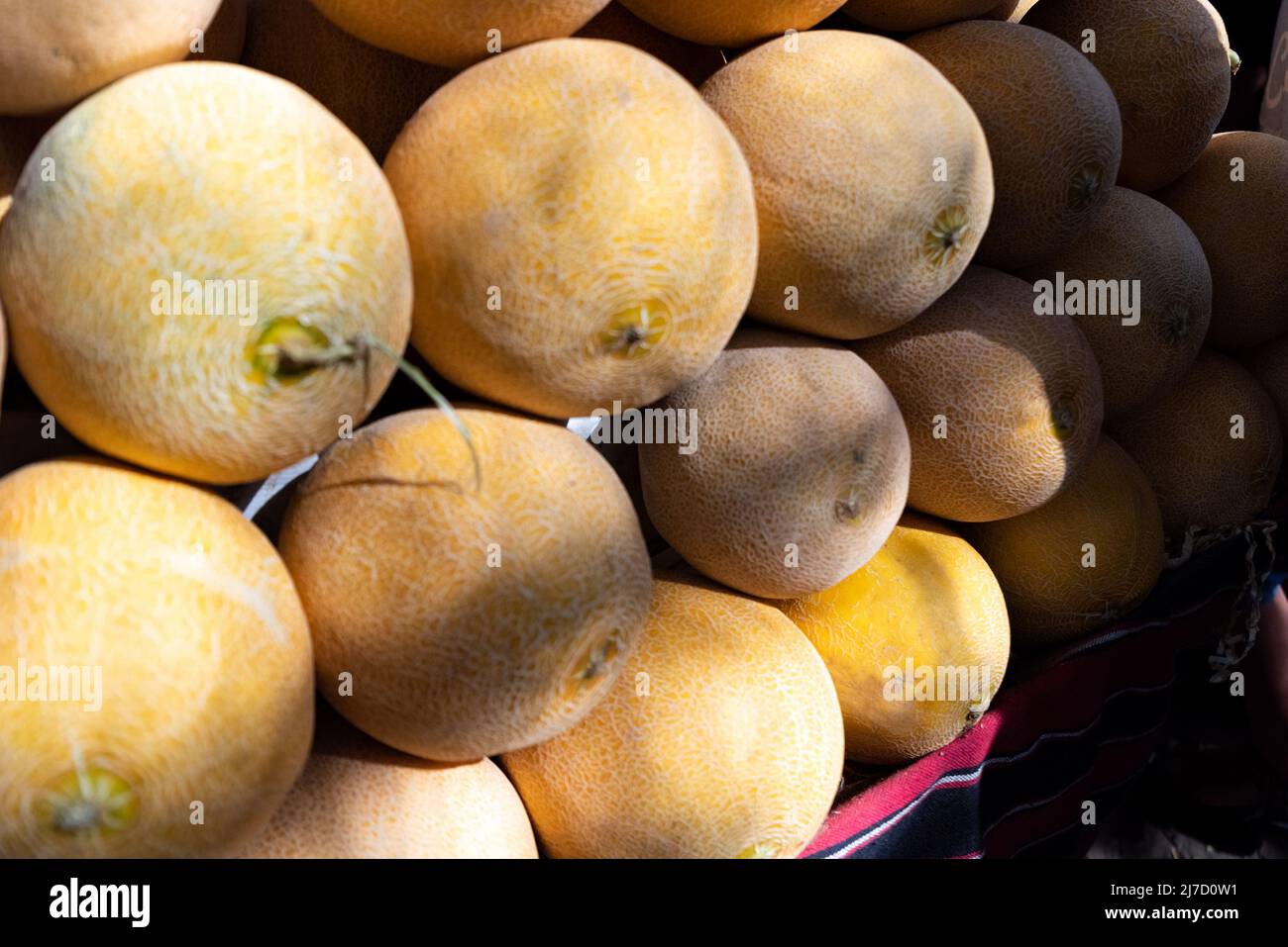 Cantaloupe melon, muskmelon, fruit piled up in a city market in Egypt ...