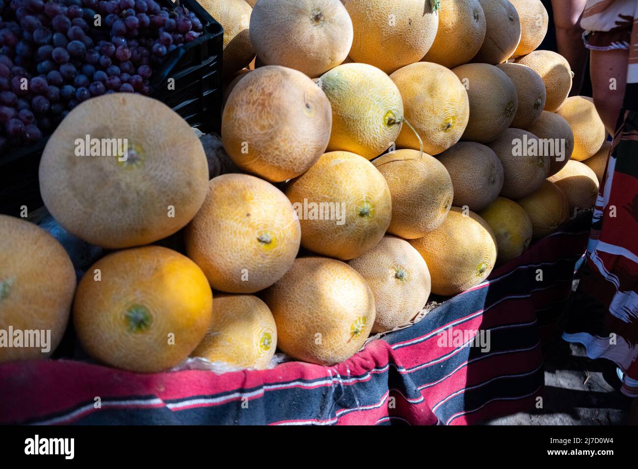 Cantaloupe melon, muskmelon, fruit piled up in a city market in Egypt ...