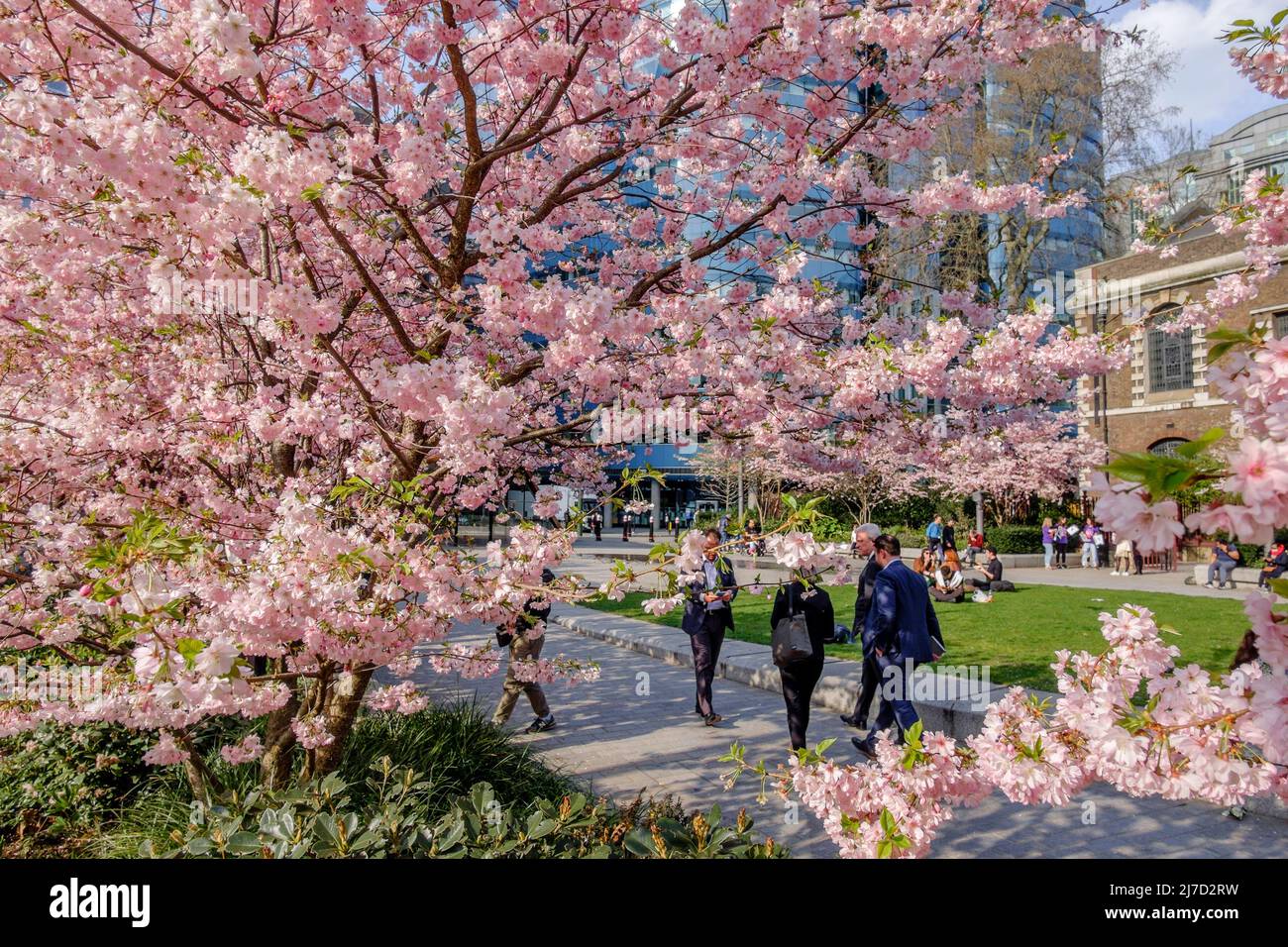 Blossom of trees hi-res stock photography and images - Alamy