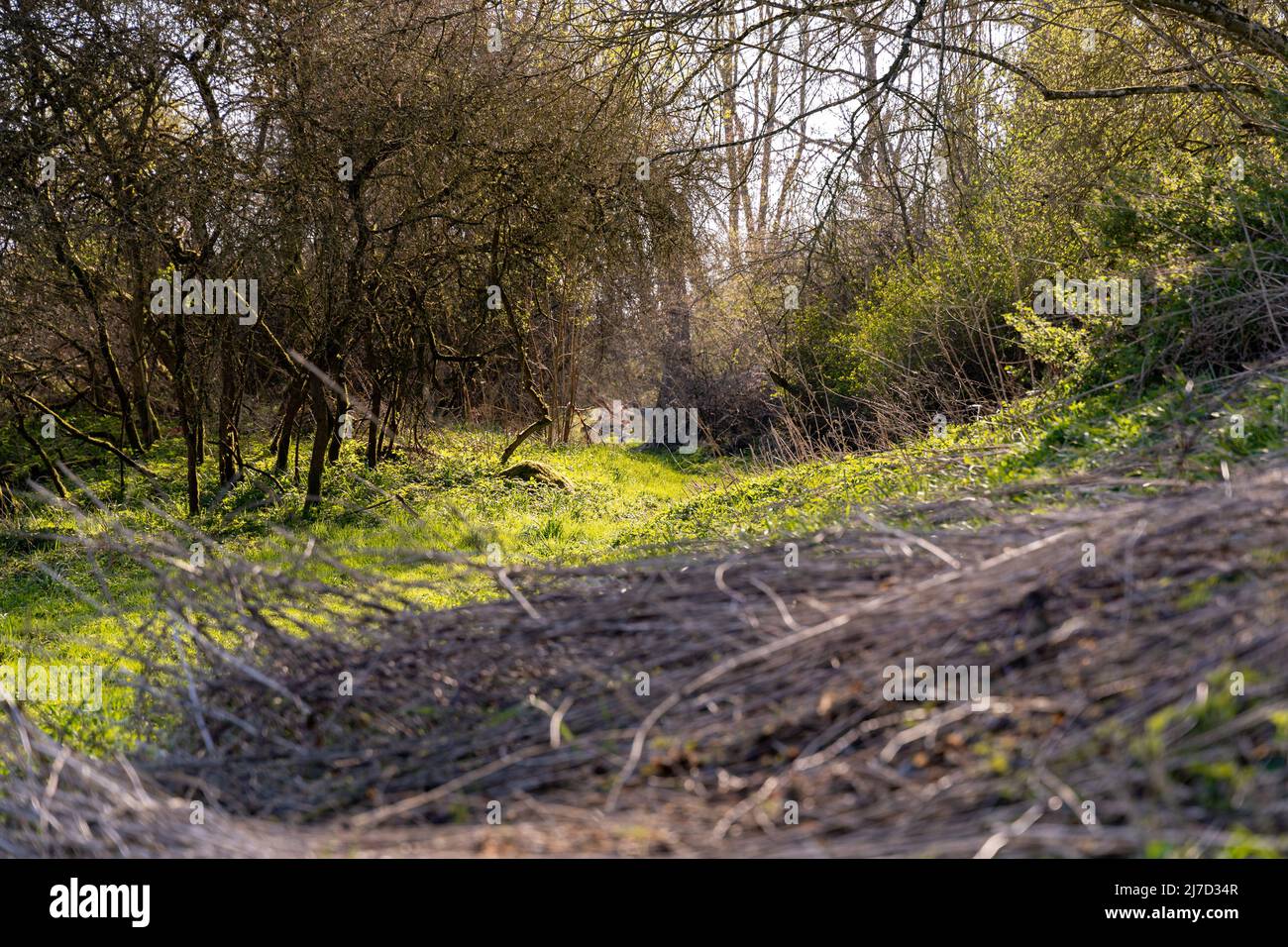 A beautiful environment hi-res stock photography and images - Alamy