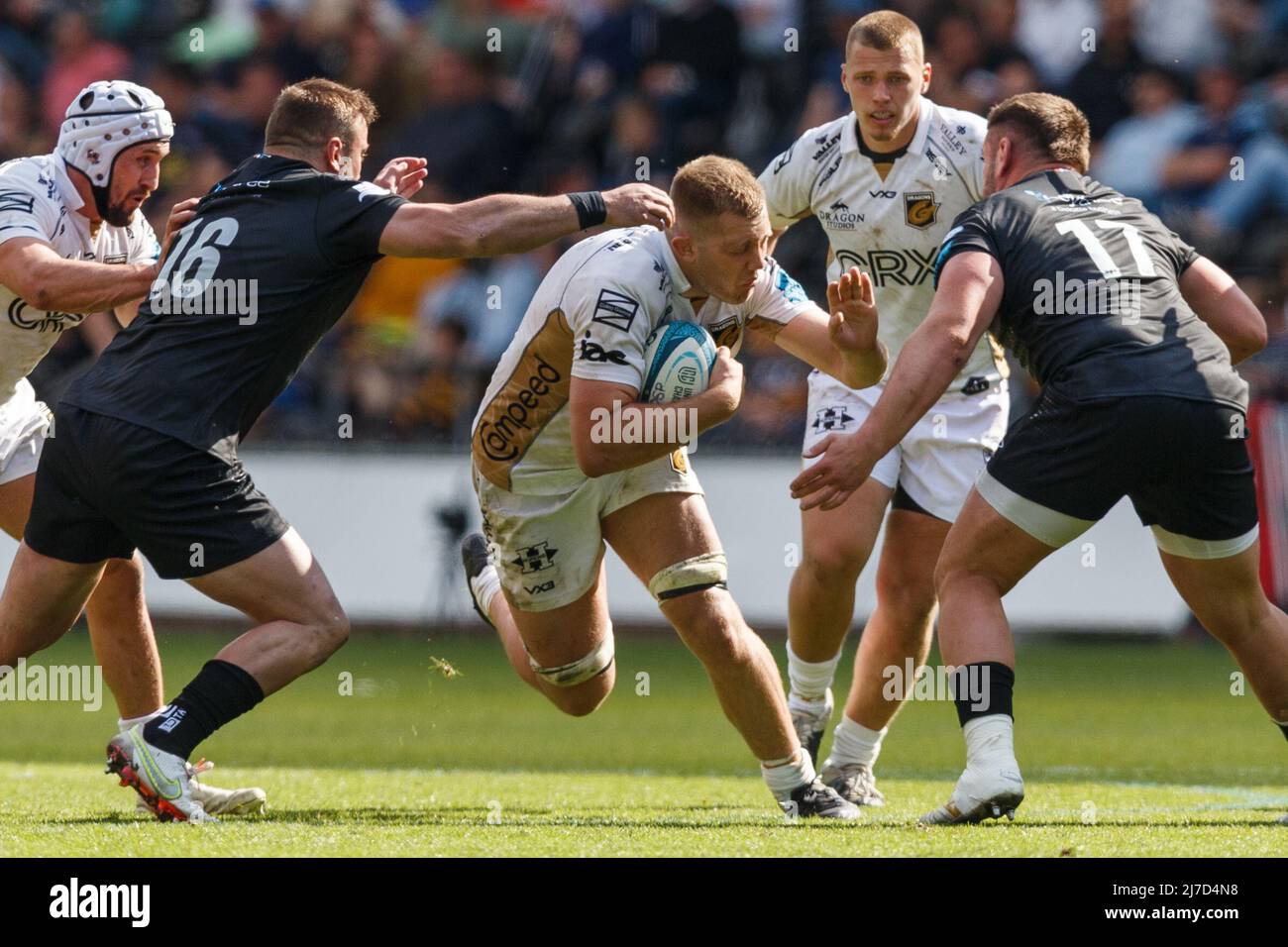 Dragons rugby urc hi-res stock photography and images - Alamy