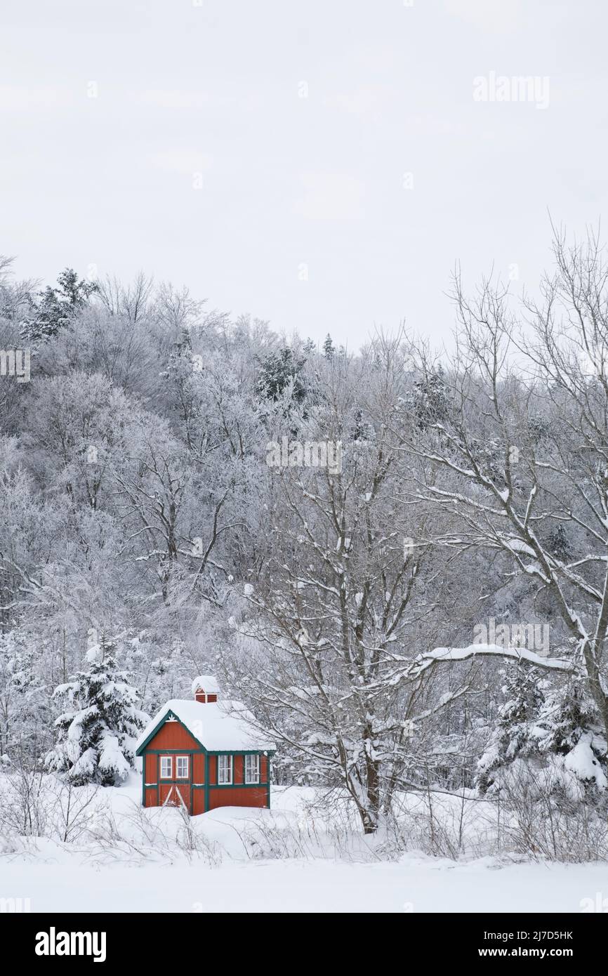 Small barn style storage shed in field with frost and snow covered ...