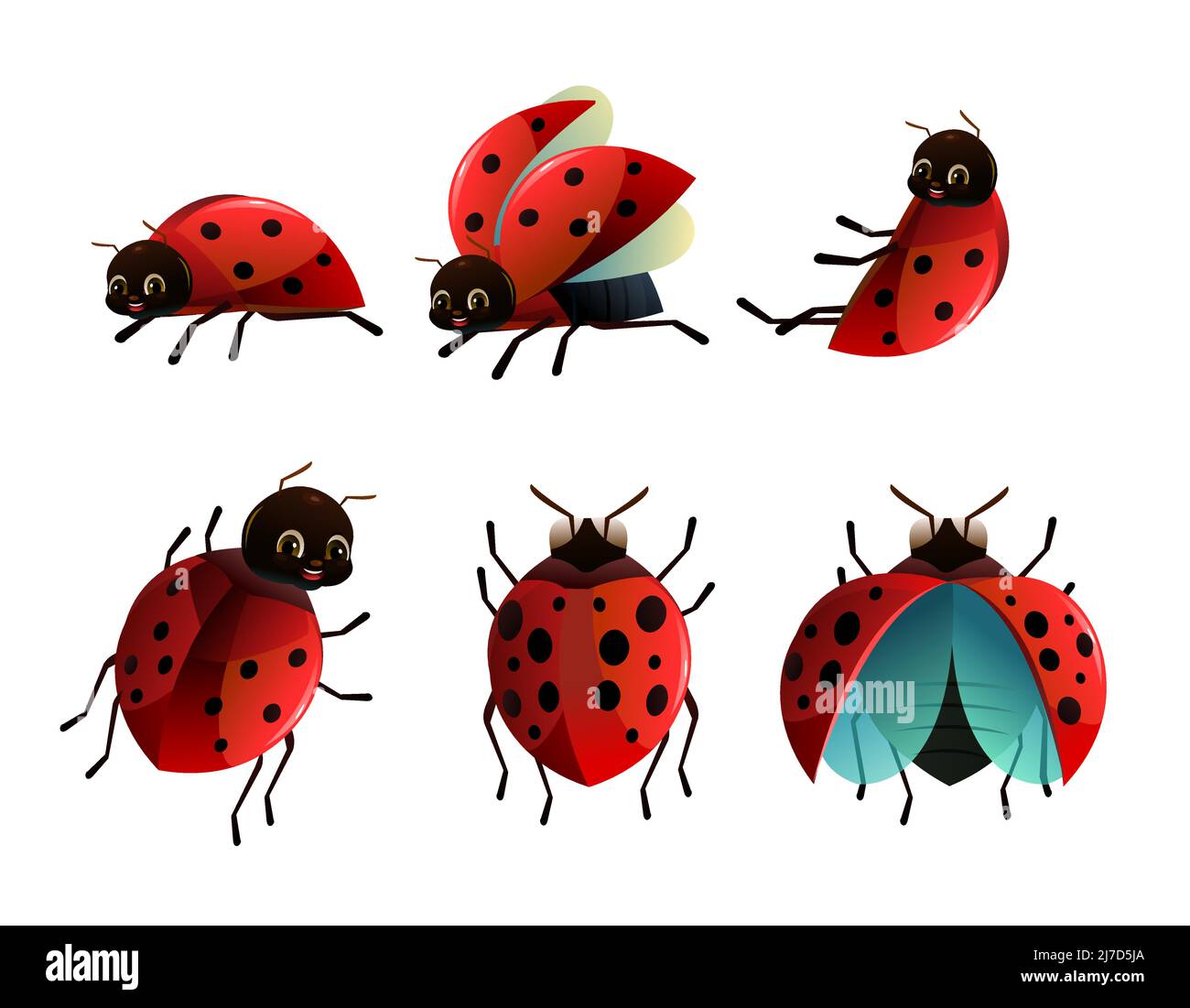 Set of Ladybug red. Wildlife object. Little funny insect. Cute cartoon ...