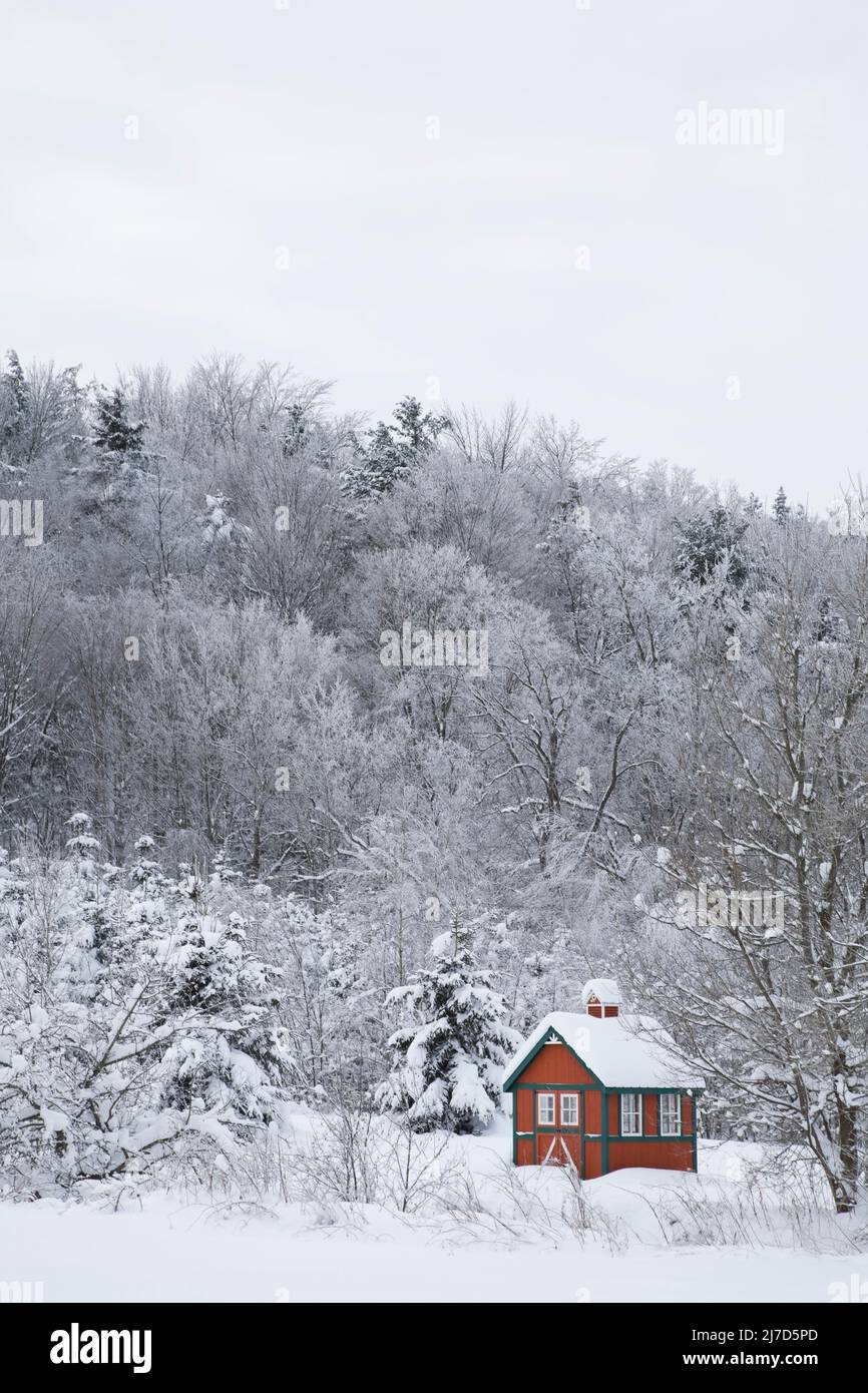Small barn style storage shed in field with frost and snow covered ...