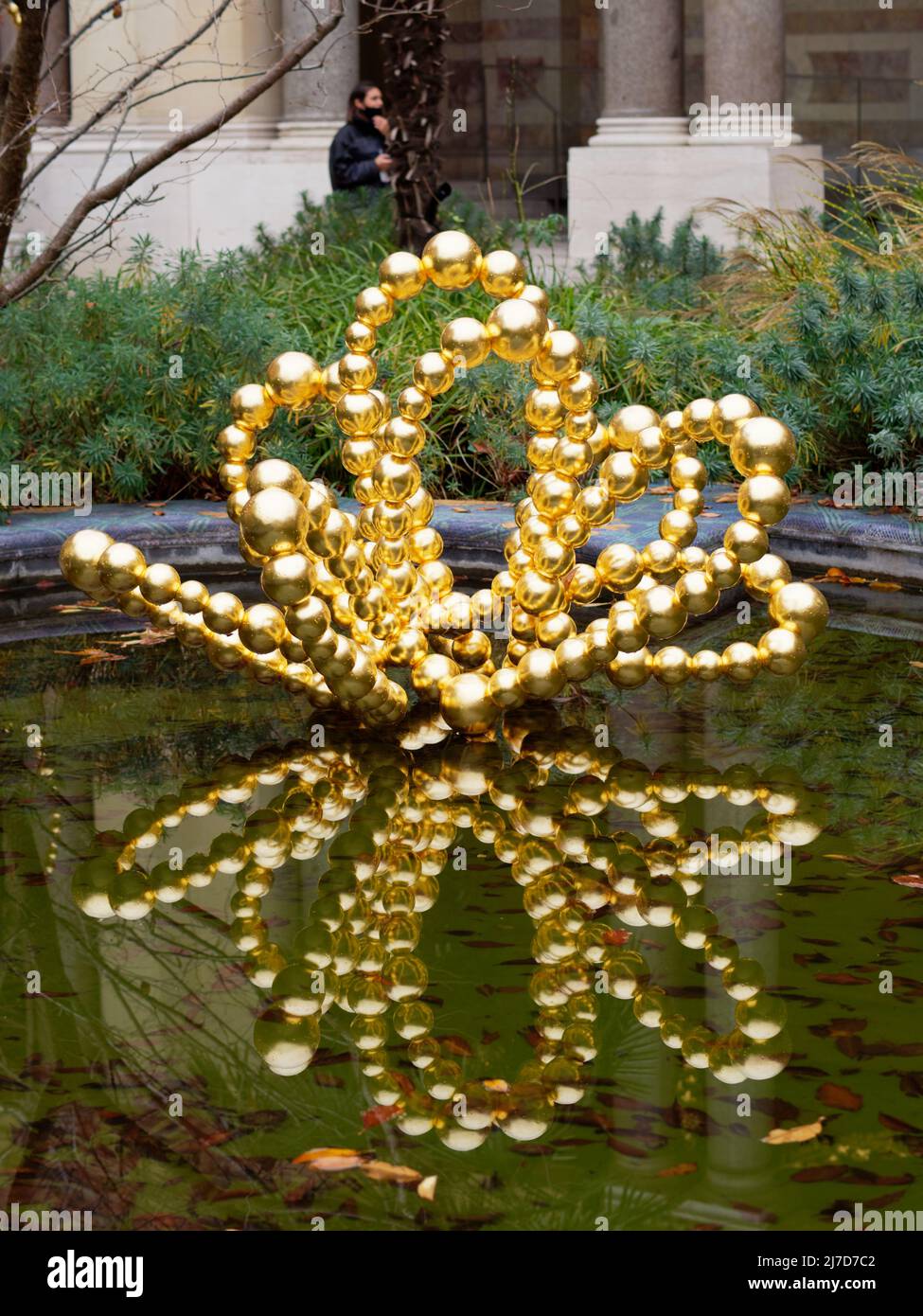 Feuille de lotus hi-res stock photography and images - Alamy