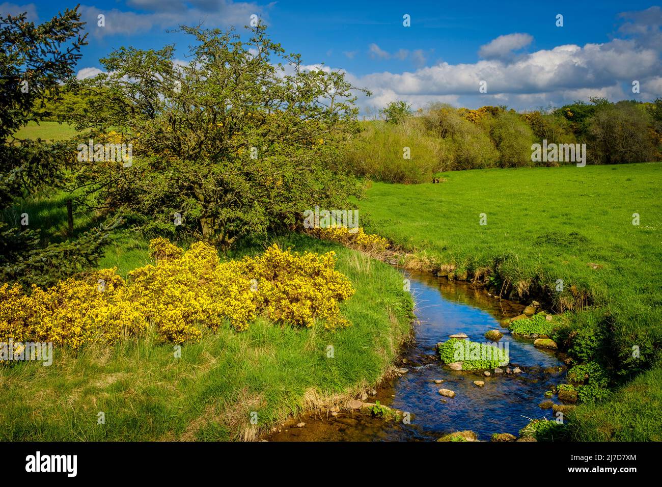 Scotland spring landscape hi-res stock photography and images - Alamy