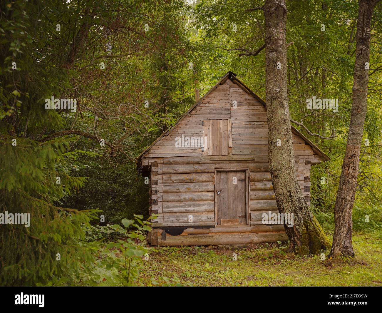 summer travel to Russia, Torzhok city. Architectural and Ethnographic ...