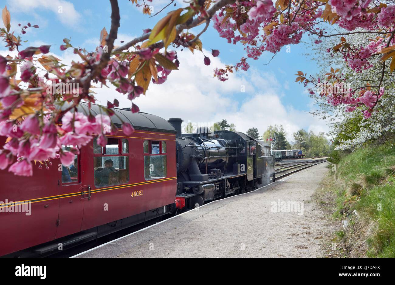 STRATHSPEY RAILWAY BOAT OF GARTEN STATION SCOTLAND THE STEAM TRAIN AND ...