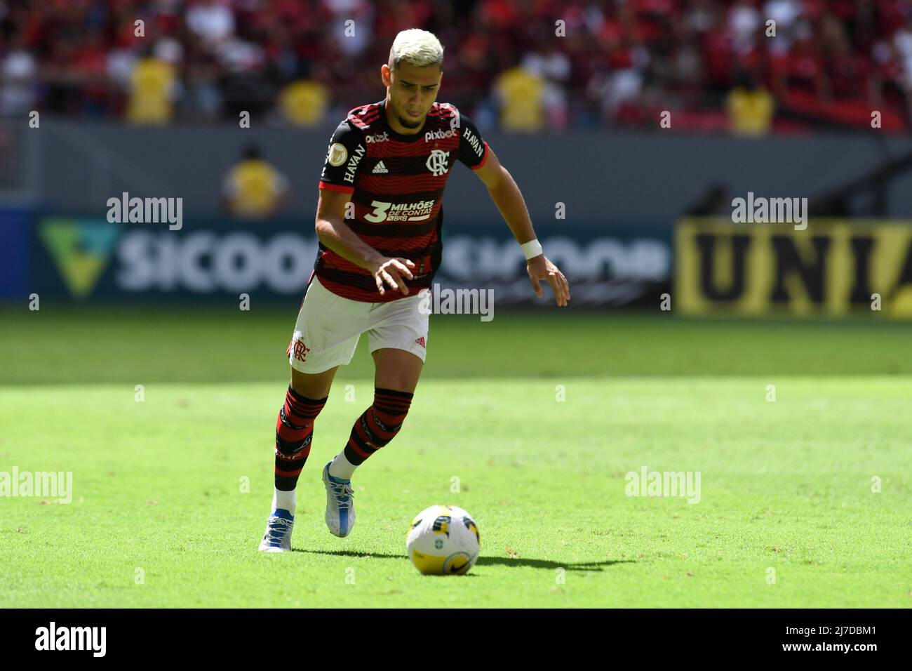 DF - Brasilia - 05/08/2022 - BRAZILIAN A 2022, FLAMENGO X BOTAFOGO ...