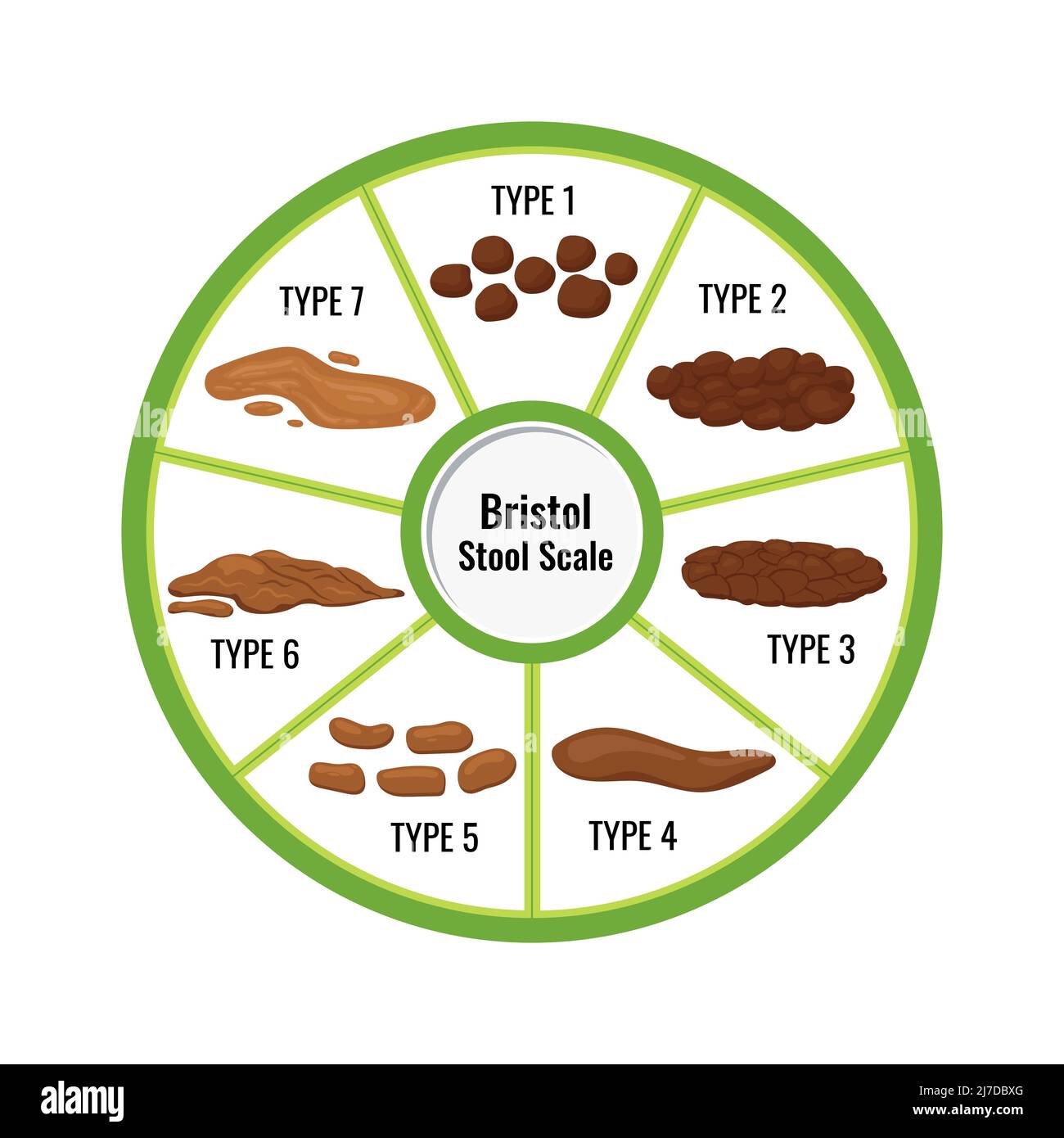 Bristol Stool Chart English
