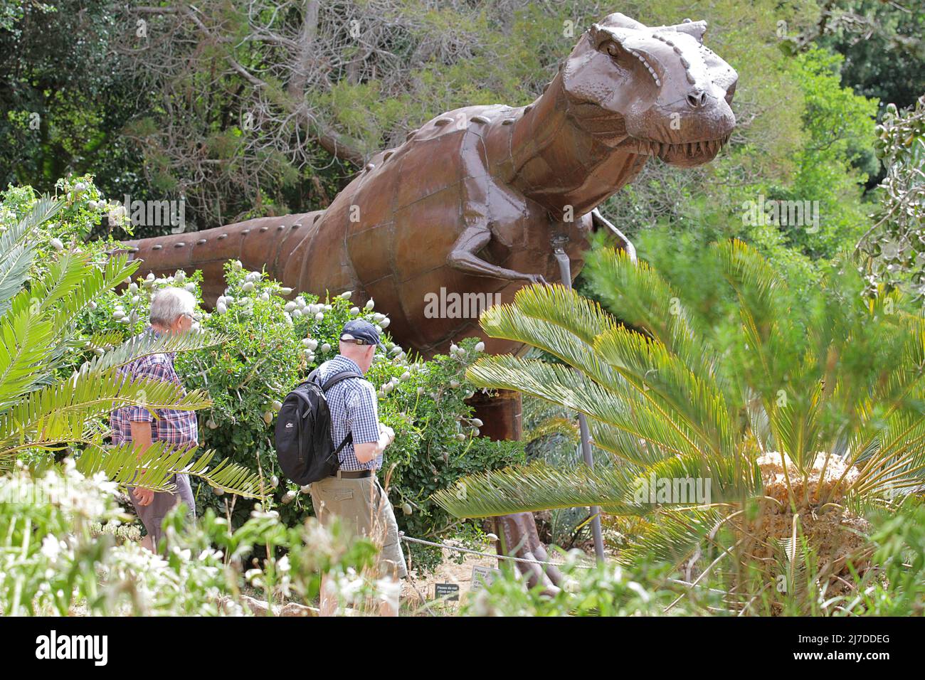 Visitors admire a towering metal T-Rex sculpture at Kirstenbosch ...