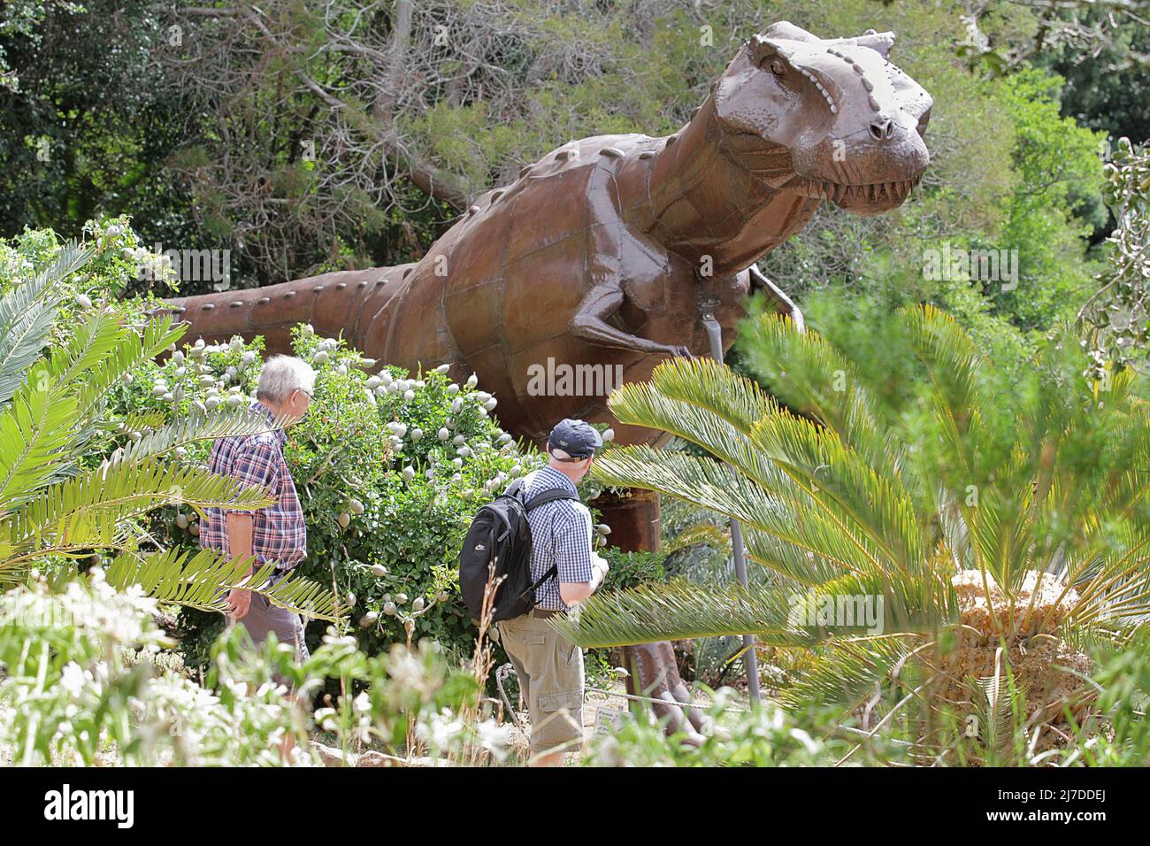 Visitors admire a towering metal T-Rex sculpture at Kirstenbosch ...