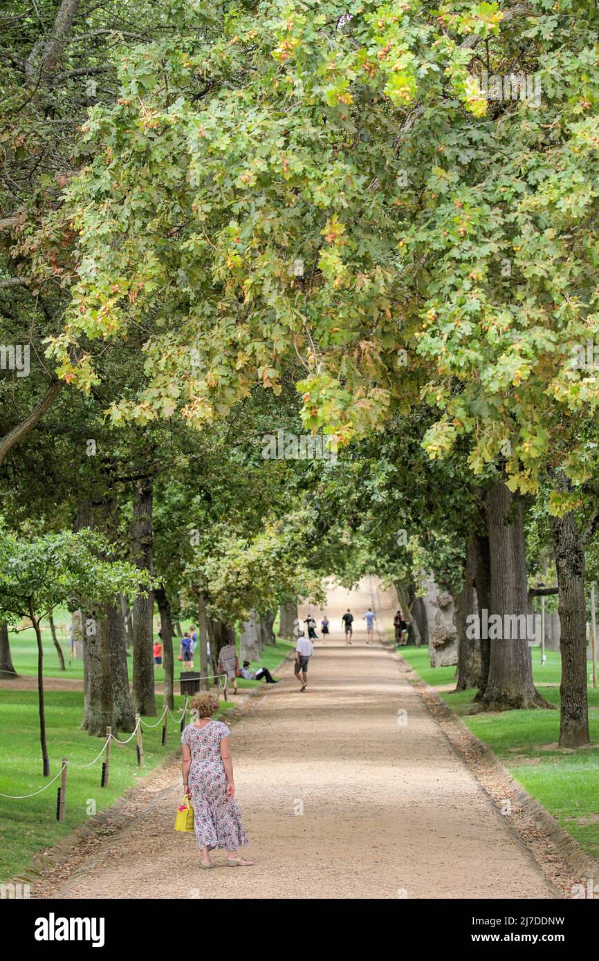 Tree lined path inviting hi-res stock photography and images - Alamy