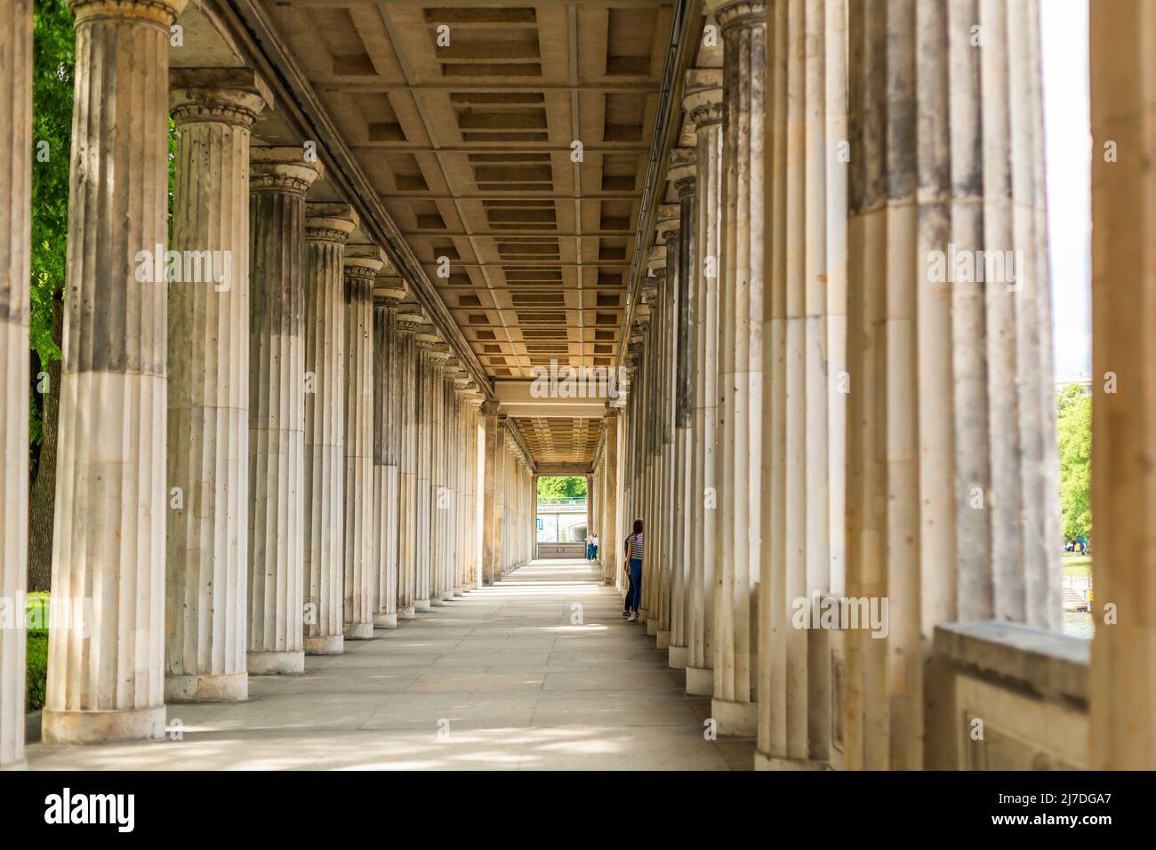 Doric Columns in the Colonnade Courtyard outside the Alte ...