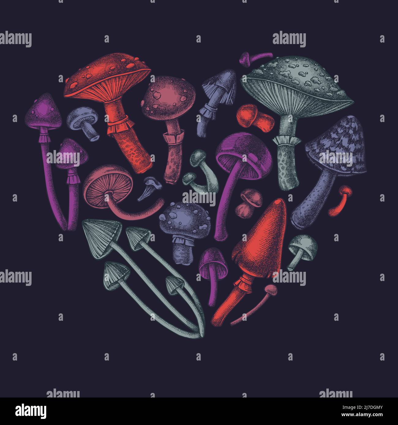 Bunch of mushrooms Stock Vector Images - Alamy