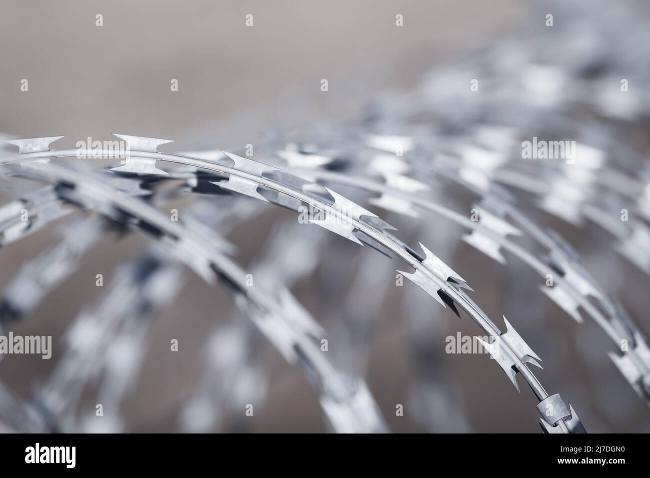 Closeup focus view of NATO barb wire with sharp and dangerous razor ...