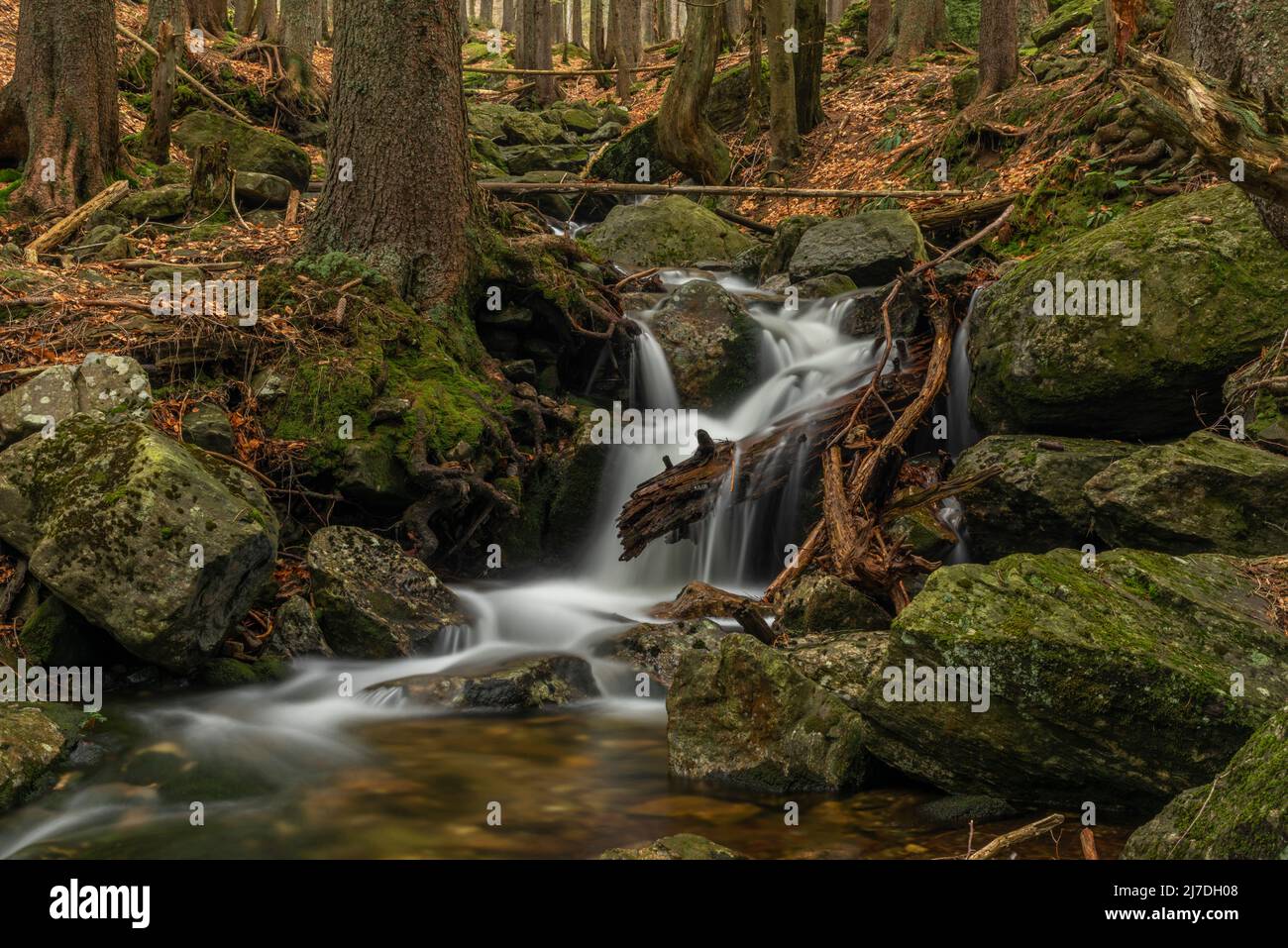 Geigenbachfalle waterfall near Groser Arber hill in Germany in spring ...