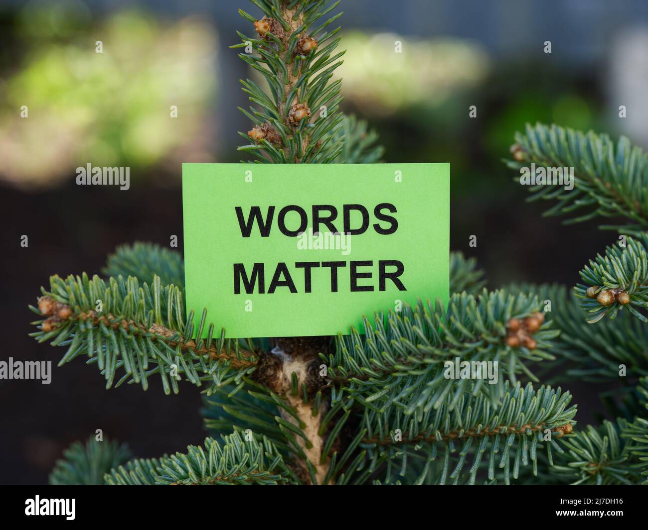 Close up words paper hi-res stock photography and images - Alamy