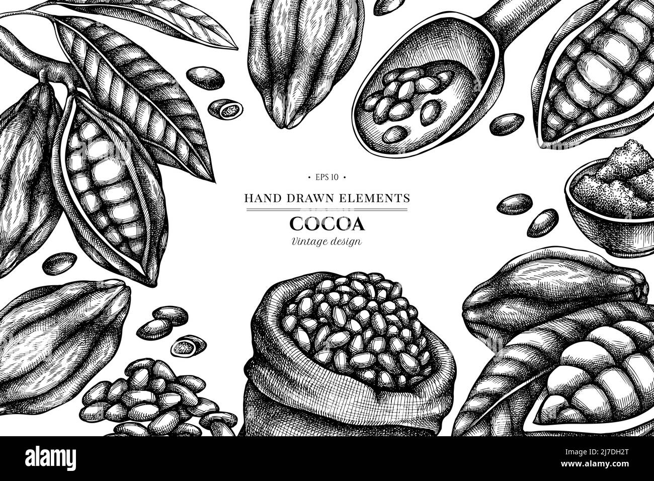 Design with black and white cocoa beans, cocoa Stock Vector Image & Art ...