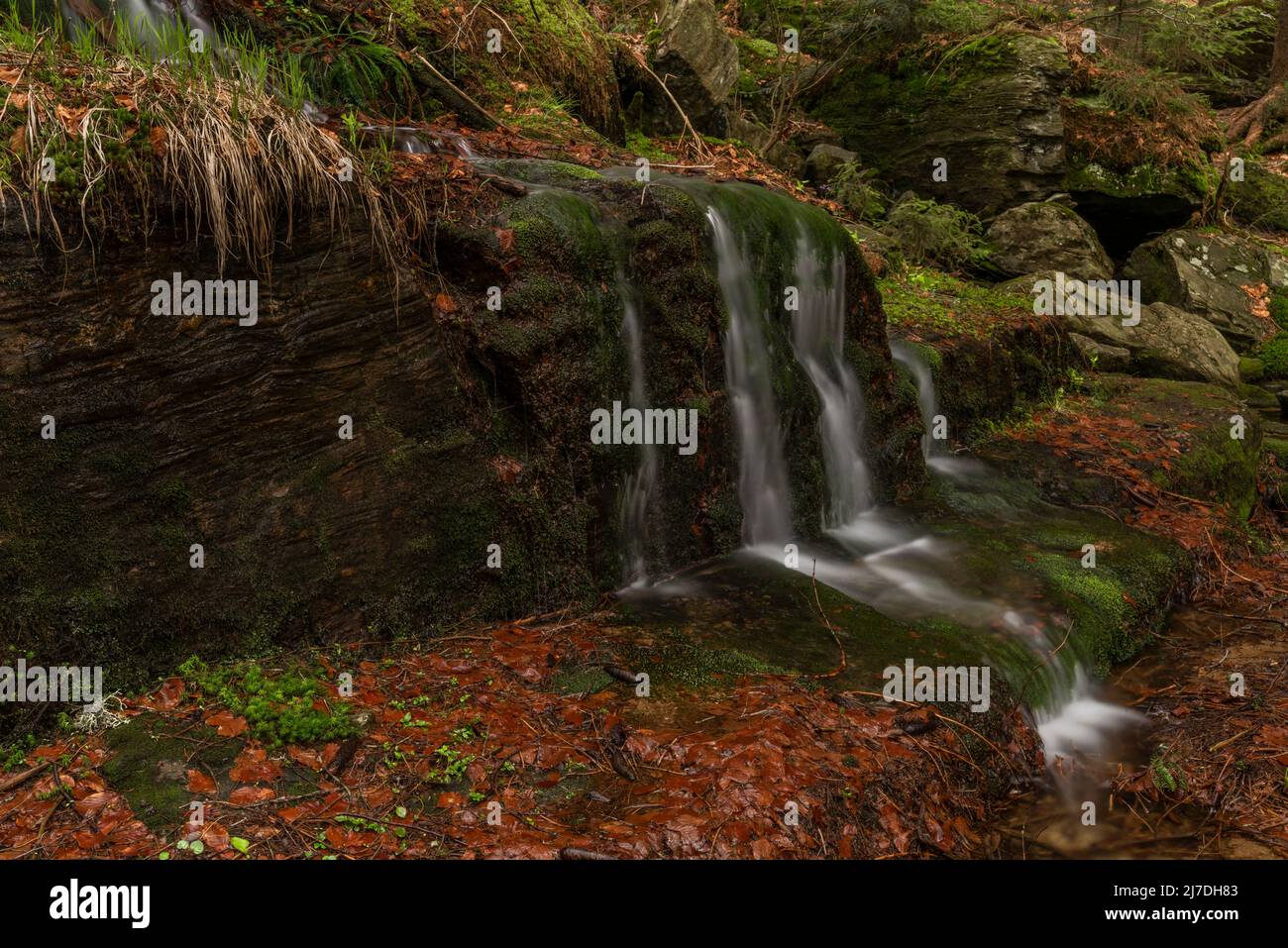 Geigenbachfalle waterfall near Groser Arber hill in Germany in spring ...