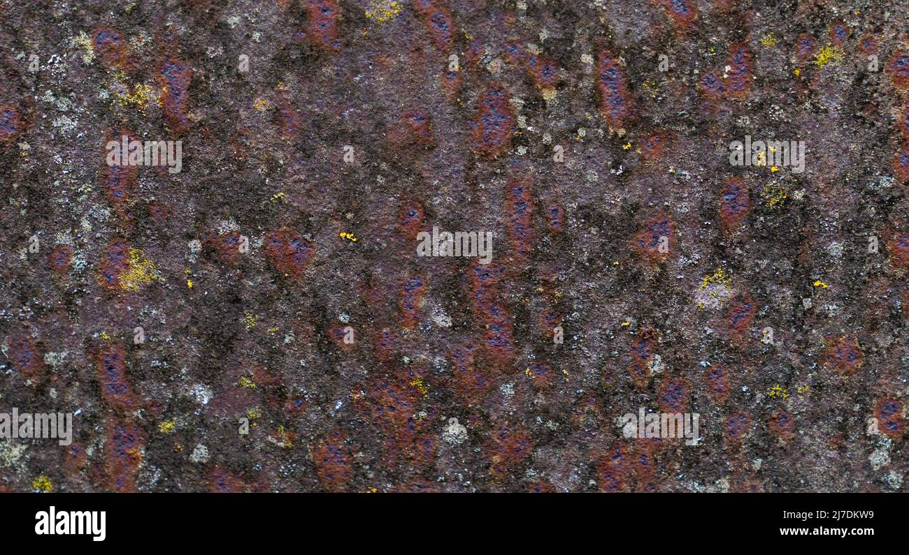 Painted iron surface with a large rusty, black spot and metal corrosion ...