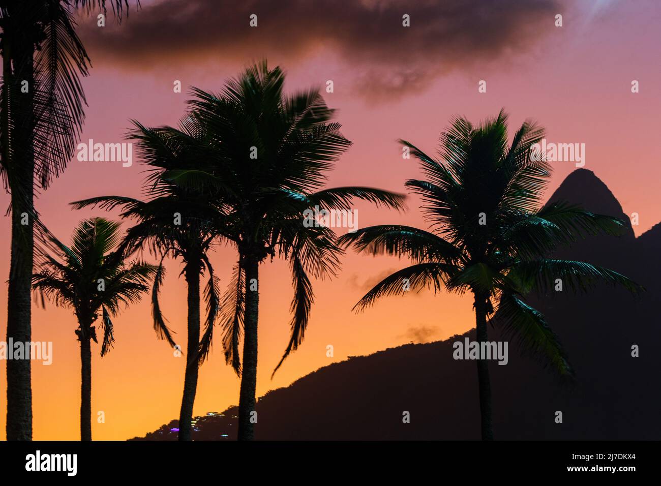 silhouette of coconut trees with a beautiful sunset in the background ...
