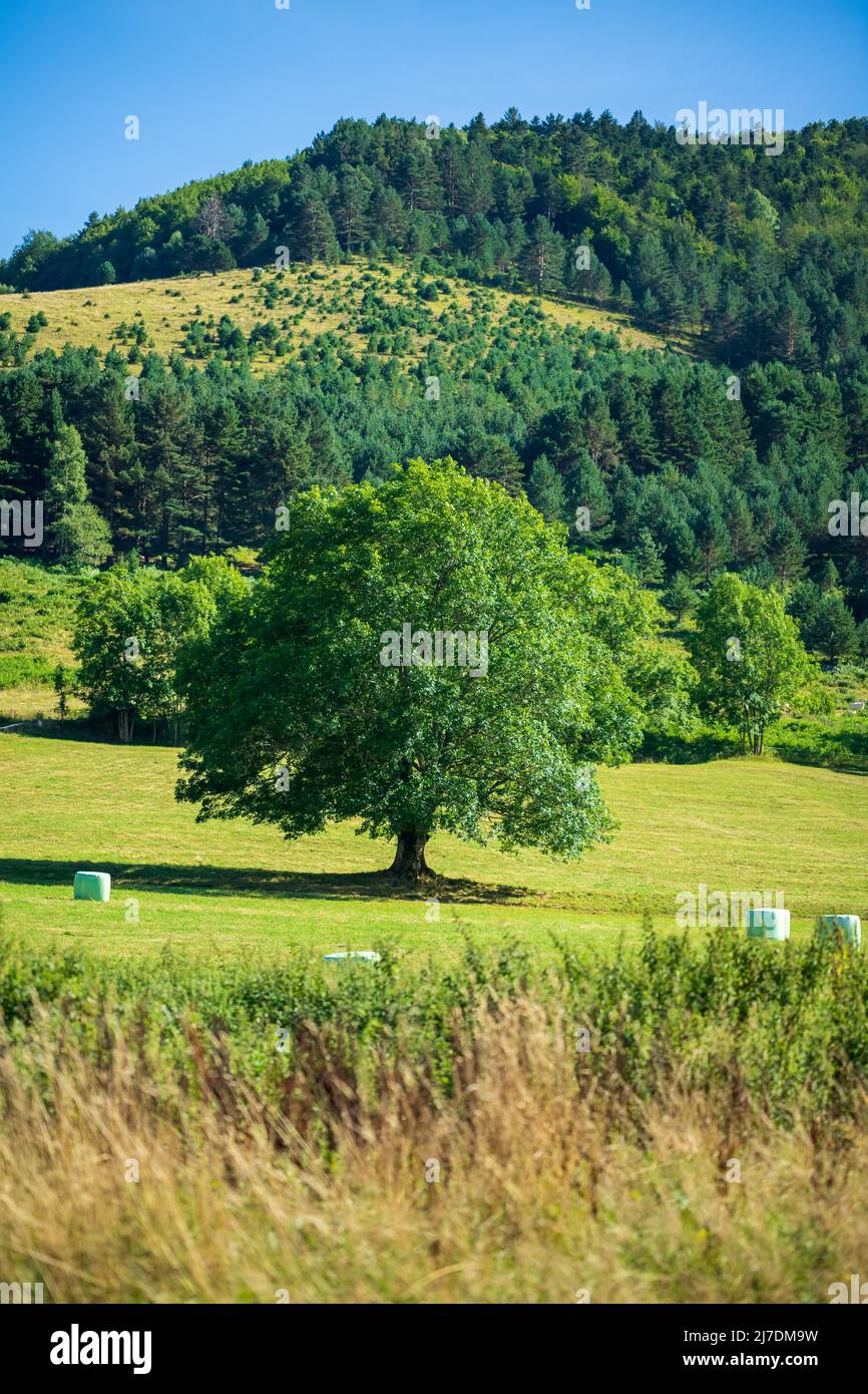 Typical Pyrenean landscape in the Aure valley on a clear blue sky ...