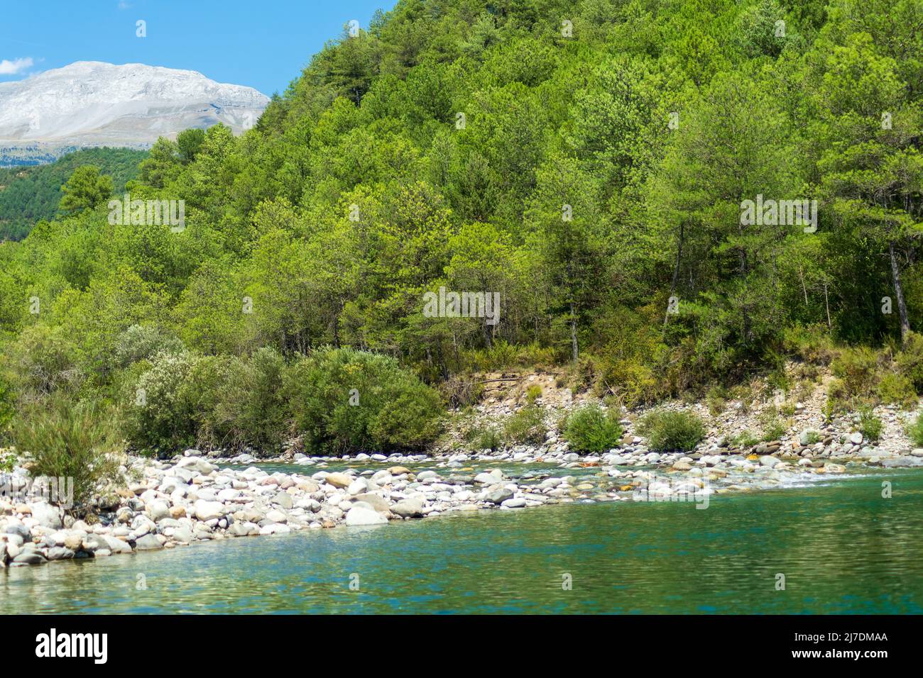 Cinca river in aragon forest. Spanish mountain River with its wonderful ...