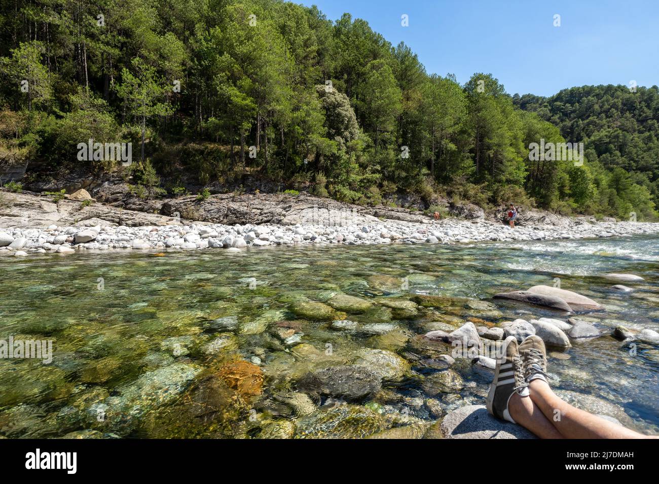 Cinca river in aragon forest. Spanish mountain River with its wonderful ...