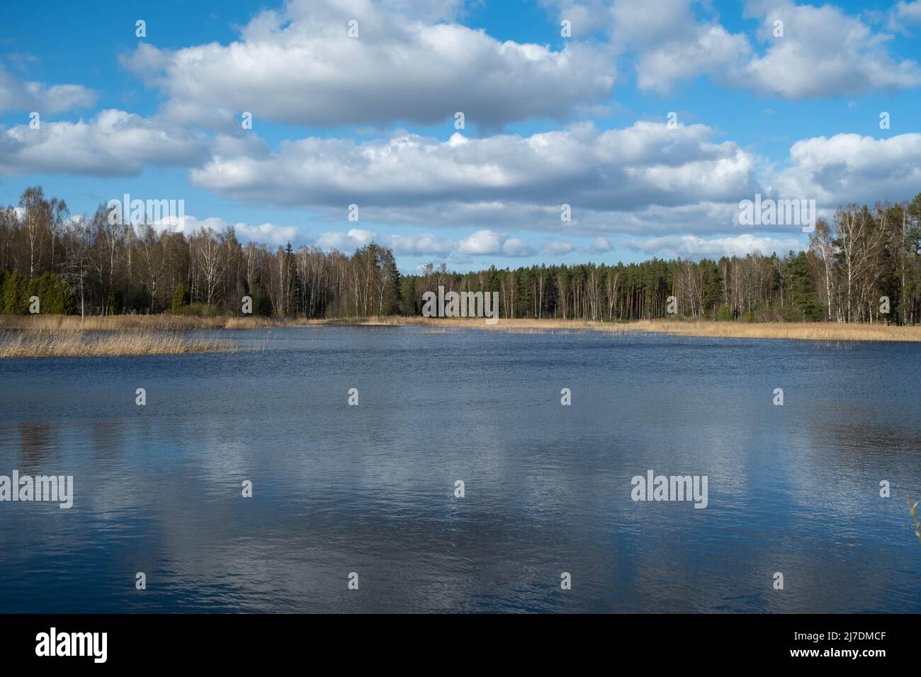 Nature beautiful forest hi-res stock photography and images - Alamy