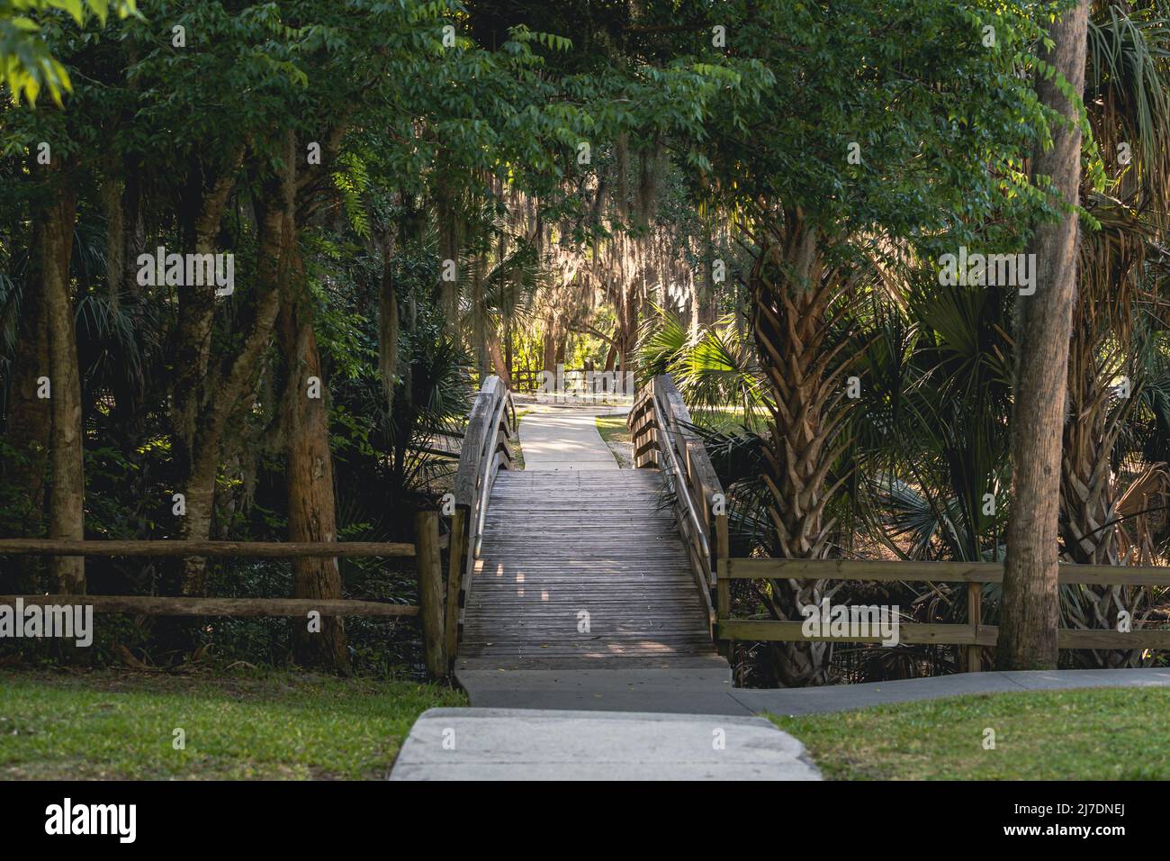 Trails and bridges of gemini springs in DeBary, Florida Stock Photo - Alamy
