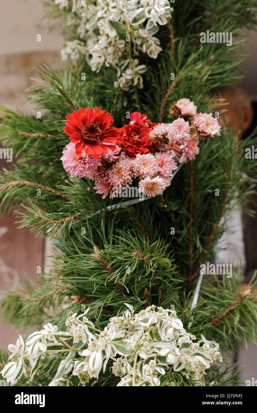 Pine needle ball hi-res stock photography and images - Alamy