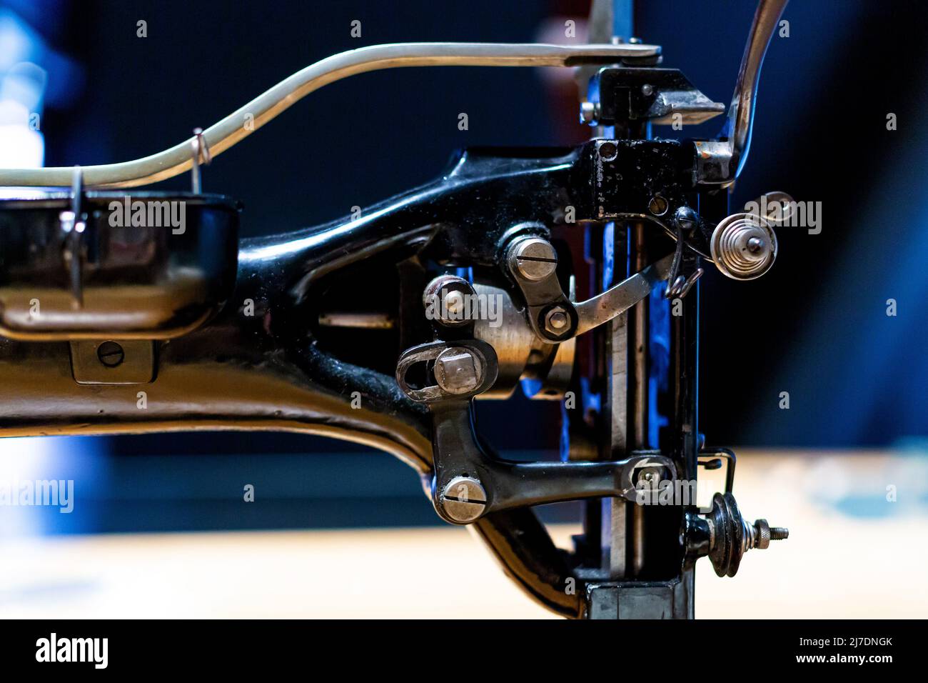 Grossmann dresdensia hi-res stock photography and images - Alamy