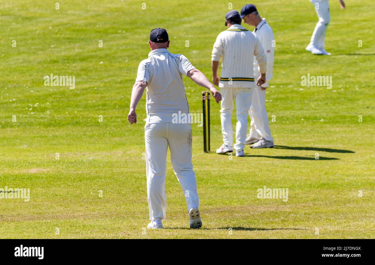 Sunday cricket match in sunshine Stock Photo - Alamy