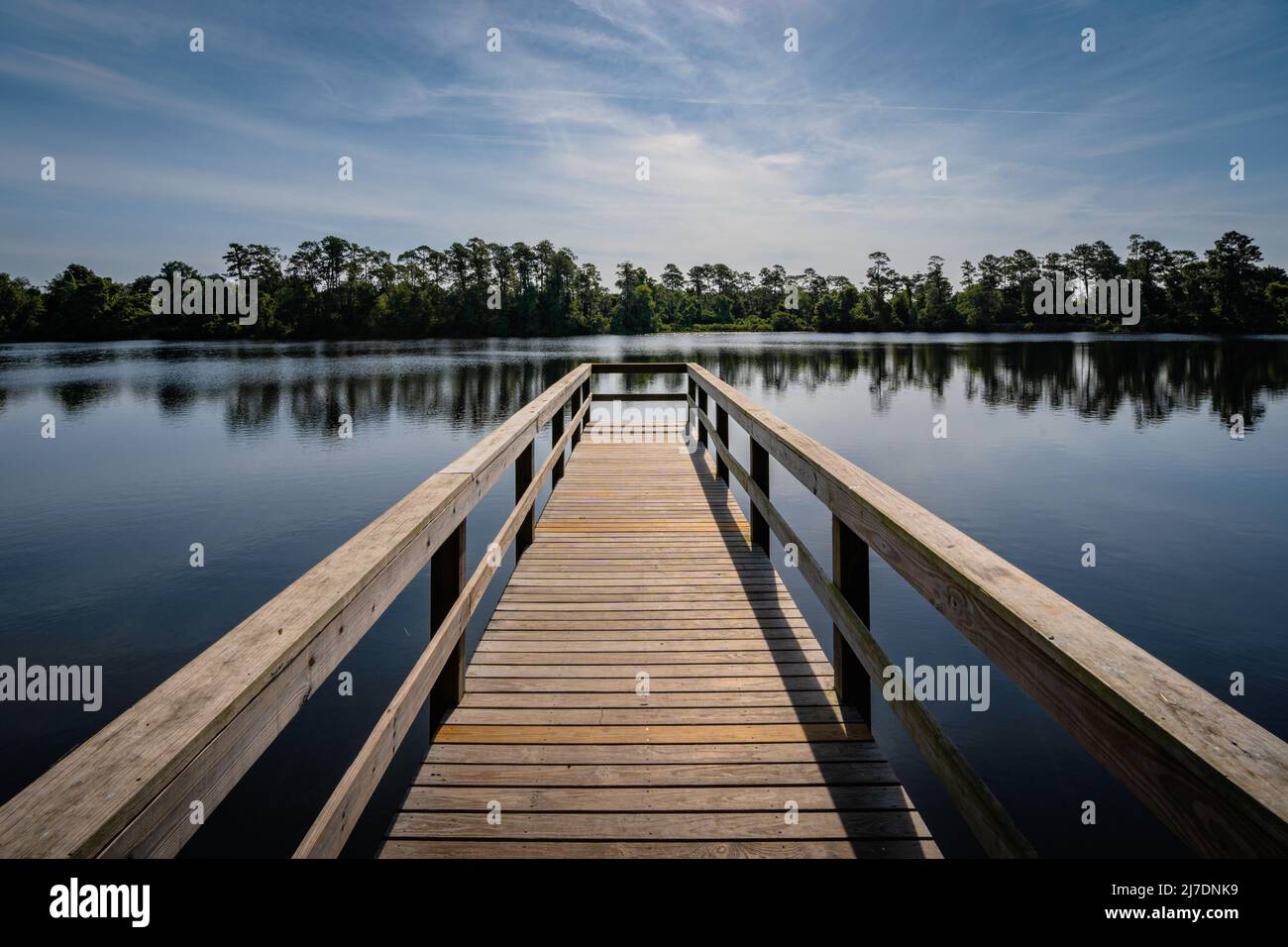 On the boardwalk of round lake park in Oviedo Florida Stock Photo - Alamy