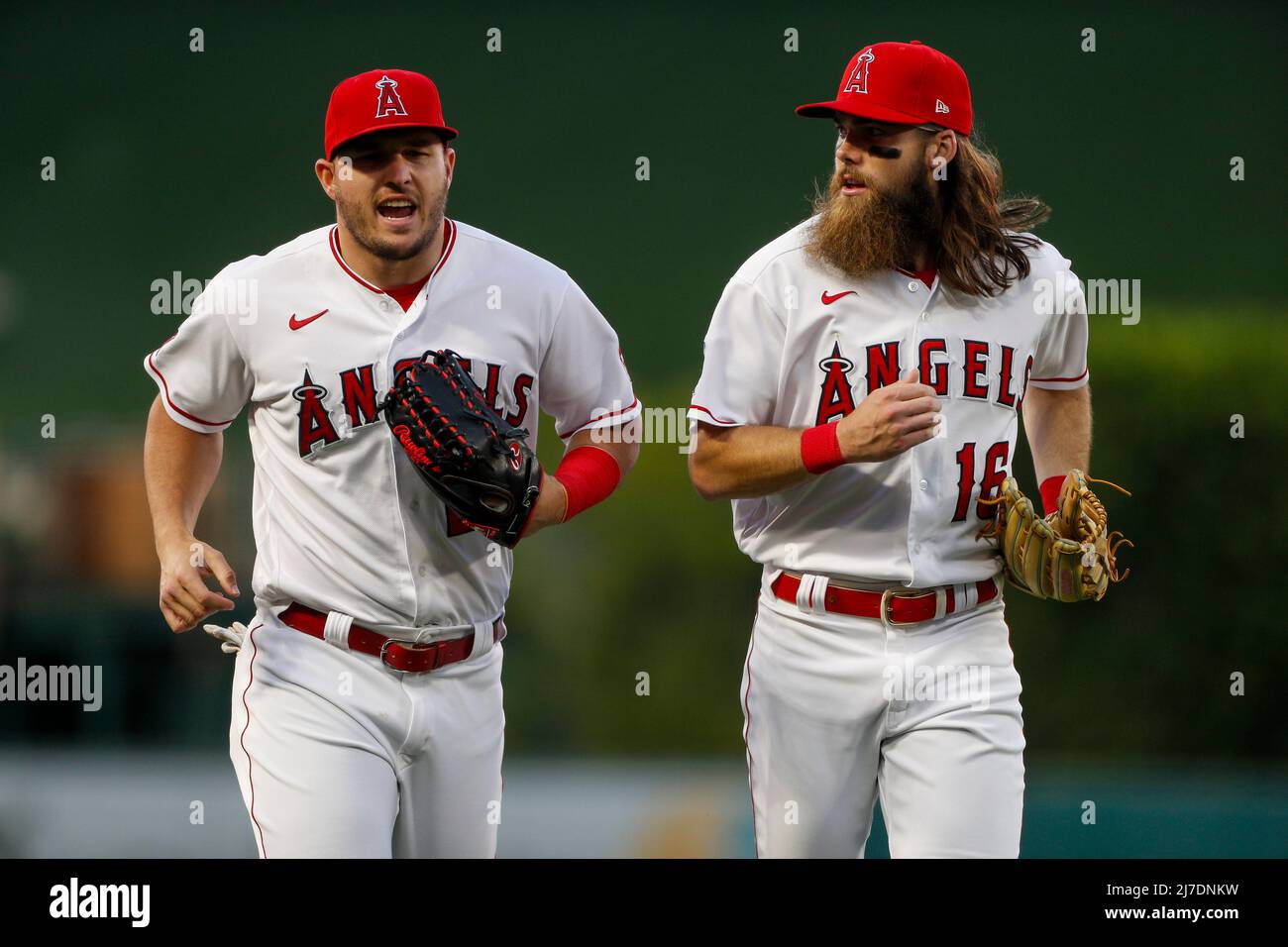 Los Angeles Angels left fielder Brandon Marsh (16) and center fielder ...