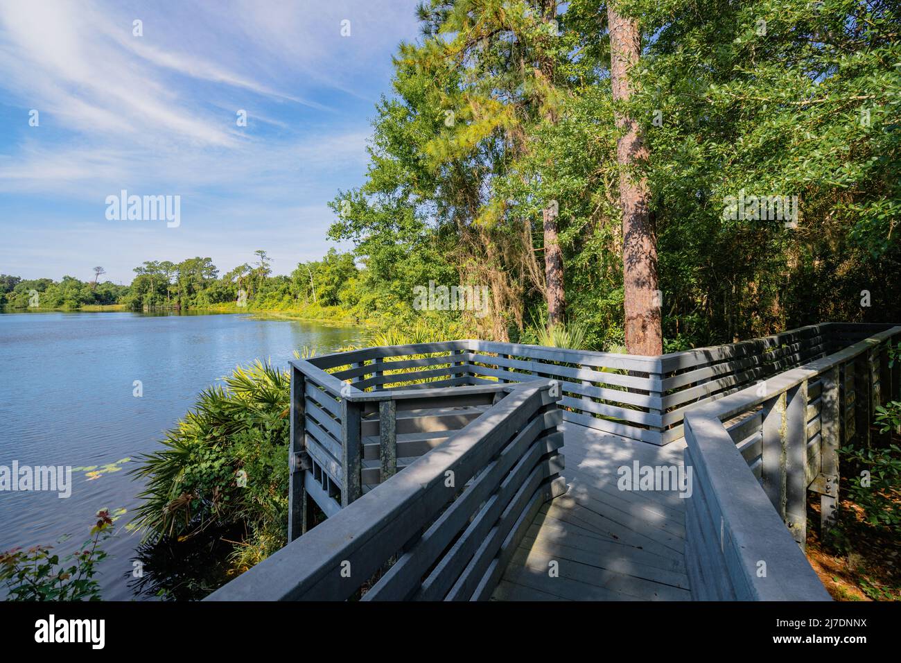 On the boardwalk of round lake park in Oviedo Florida Stock Photo - Alamy
