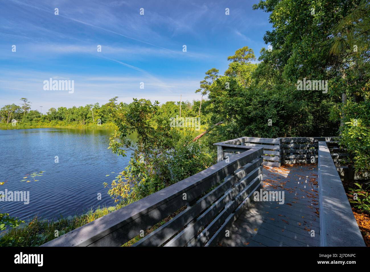 On the boardwalk of round lake park in Oviedo Florida Stock Photo - Alamy