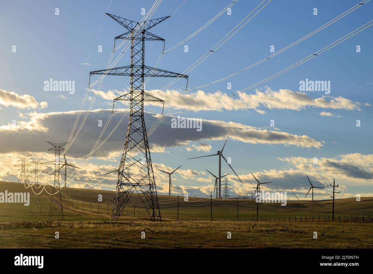 Electricy transmission metal utility pole power infrastructure in the ...