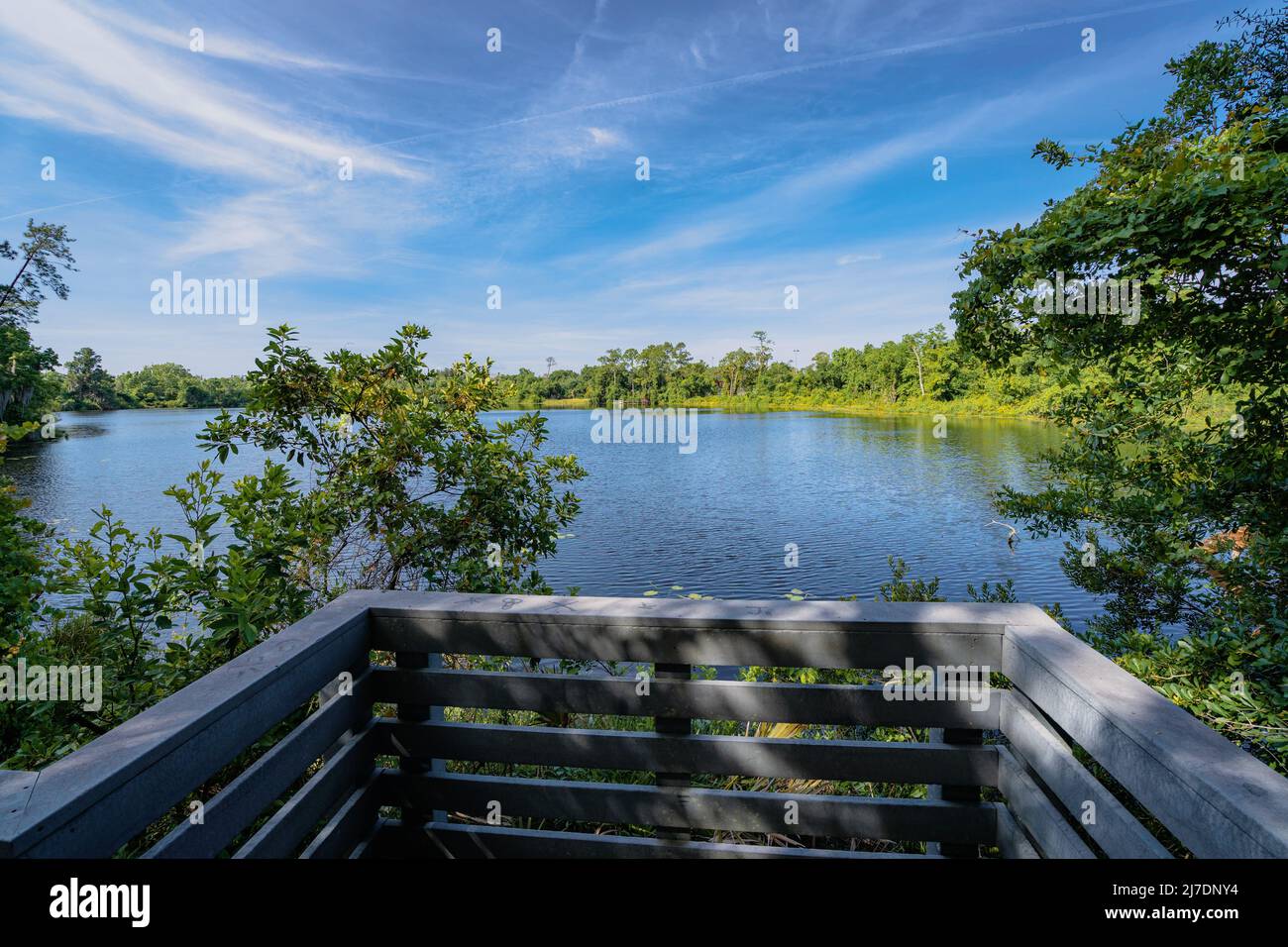 On the boardwalk of round lake park in Oviedo Florida Stock Photo - Alamy