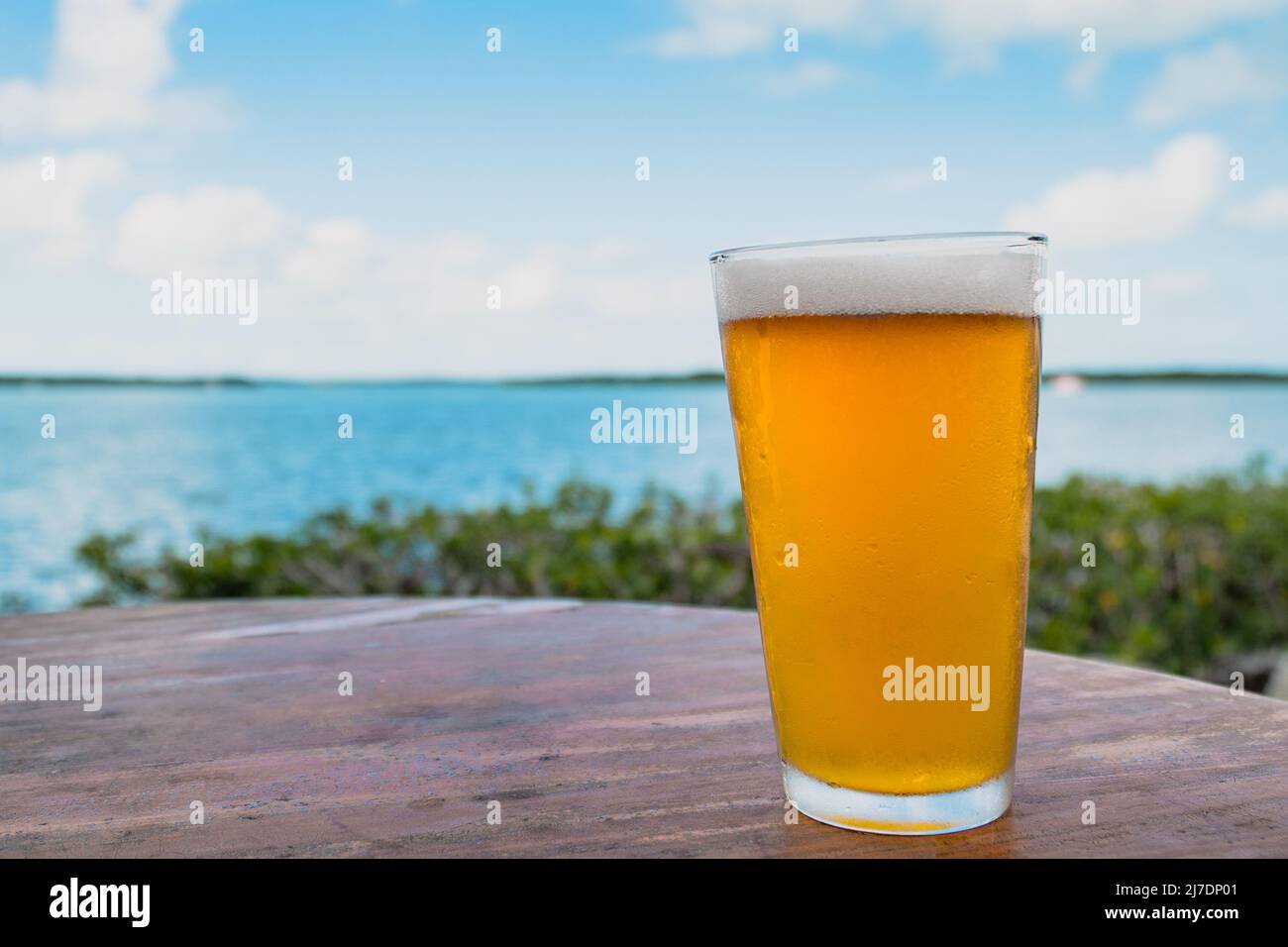 Cold pint of craft beer with a tropical background Stock Photo - Alamy