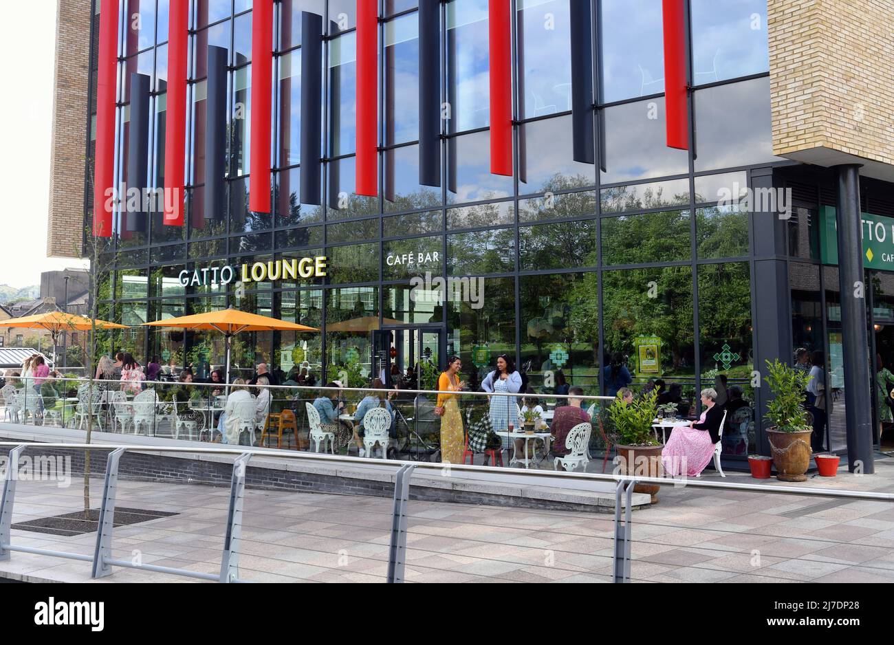 Gatto jones hi-res stock photography and images - Alamy