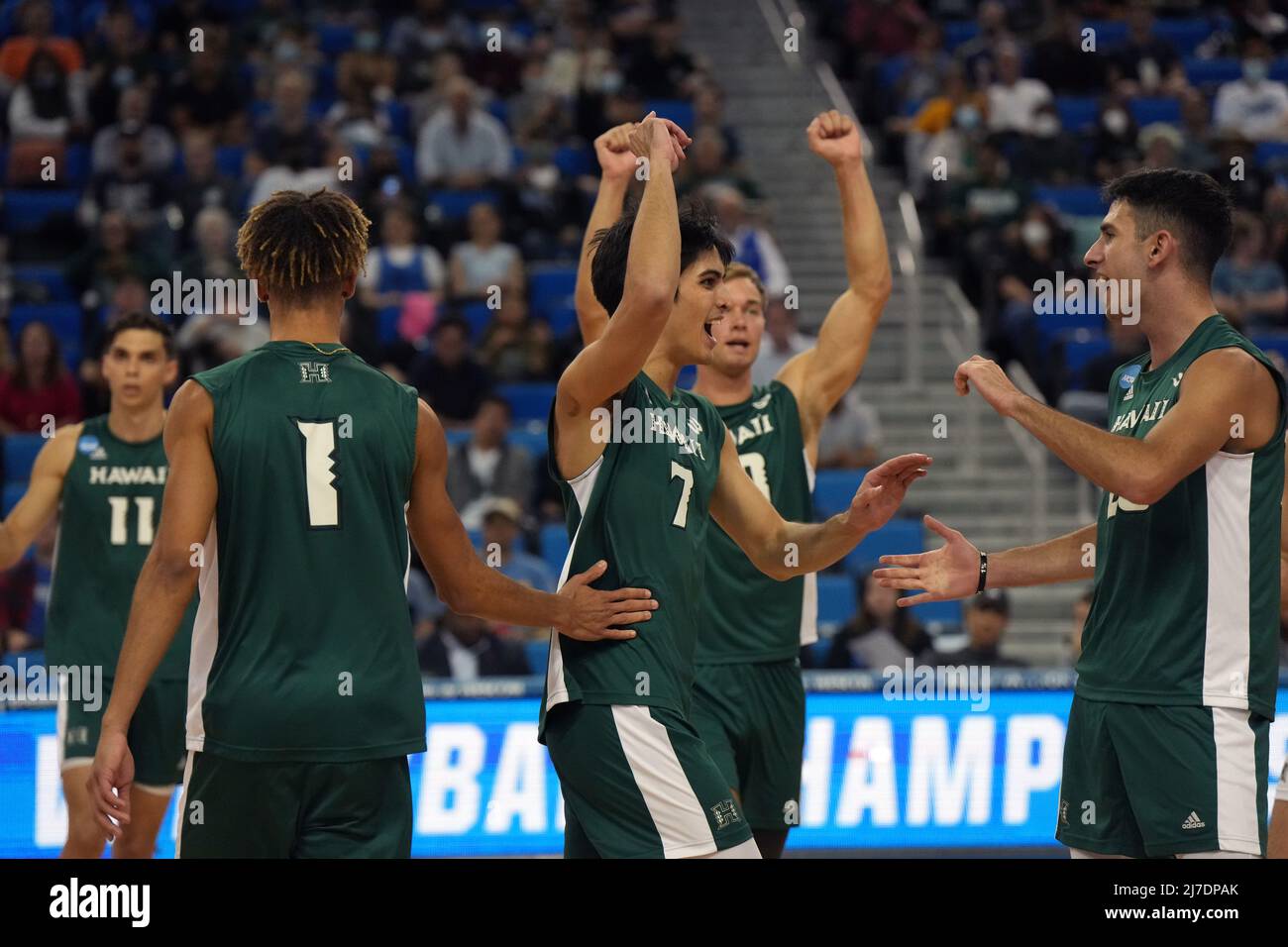 Hawaii Rainbow Warriors opposite hitter Cole Hogland (7) celebrates ...
