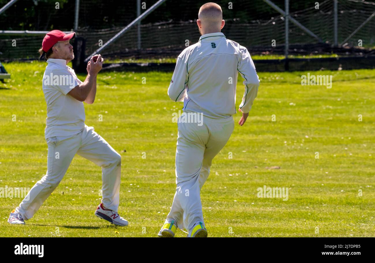 Sunday cricket match in sunshine Stock Photo - Alamy