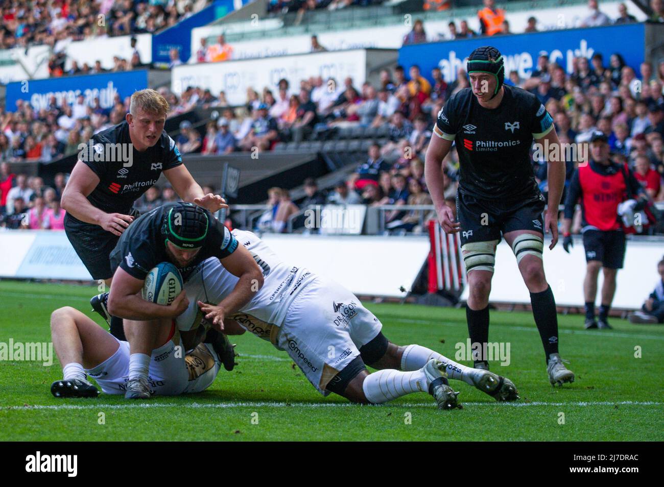 Morgan Morris of Ospreys, goes over to score his first try Stock Photo ...