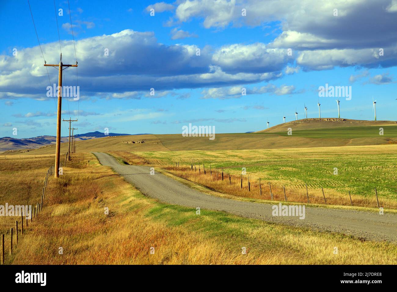 A Canadian prairie landscape with a dirt gravel country road near ...