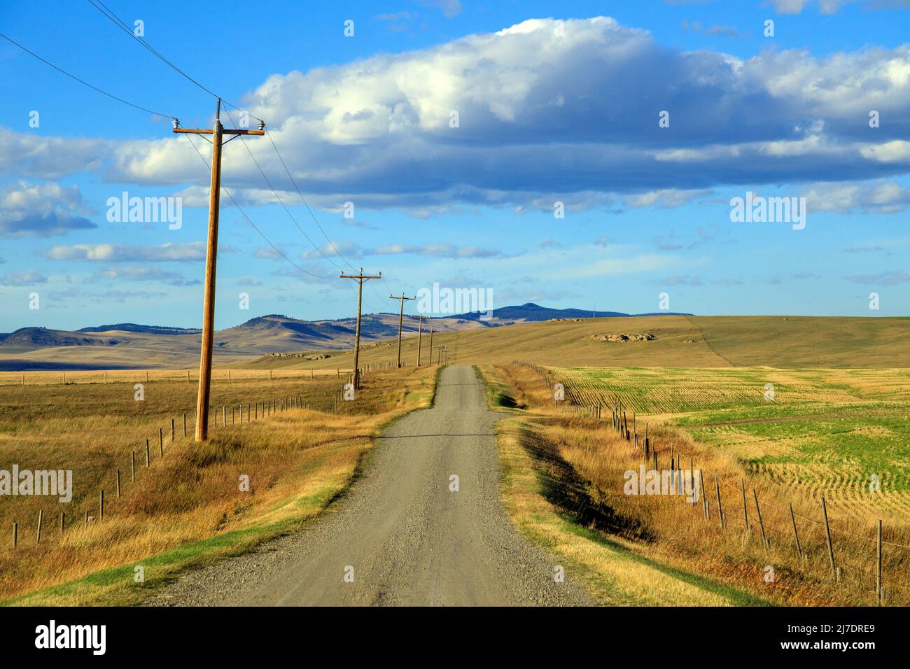 A Canadian prairie landscape with a dirt gravel country road near ...