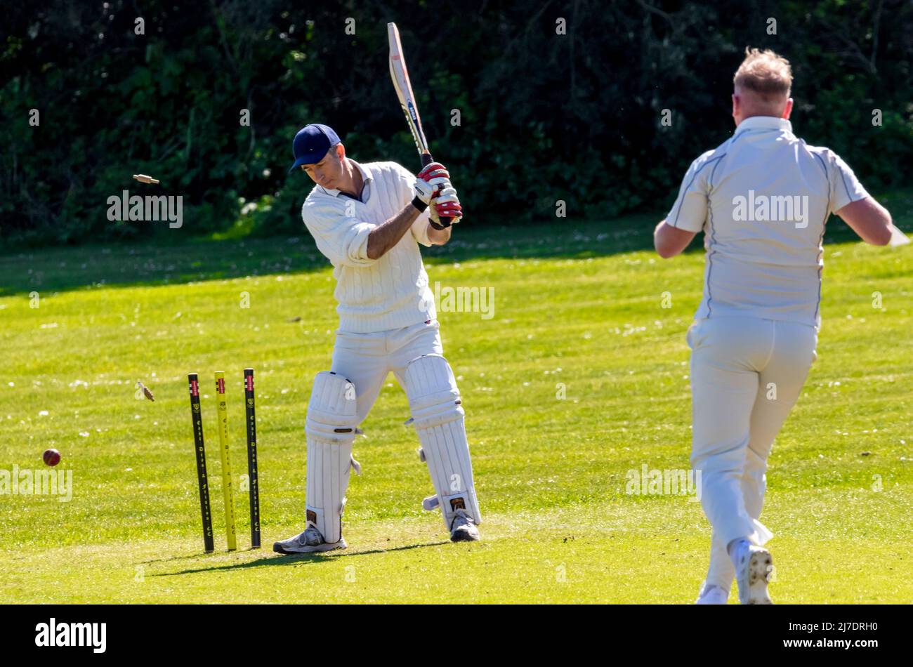 Sunday cricket match in sunshine Stock Photo - Alamy