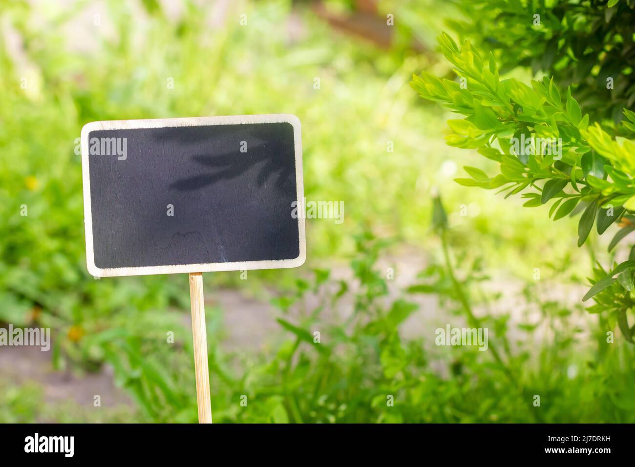 Notification leaf hi-res stock photography and images - Alamy